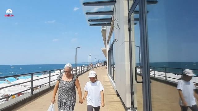 _Чайка_. Набережная Адлера. Сочи.