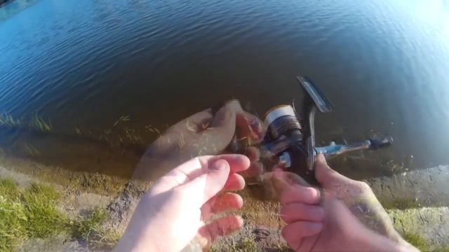 Матчевая катушка Daiwa Harrier 3053 match.