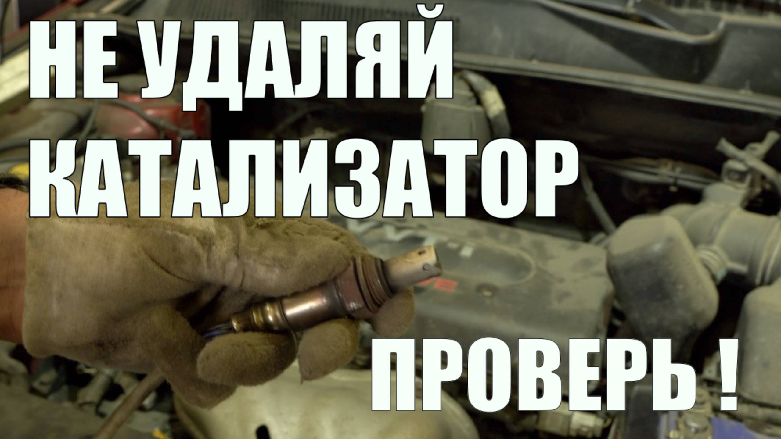 На СТО механик советовал удалить катализатор НО, я ему не поверил и проверил Другое!