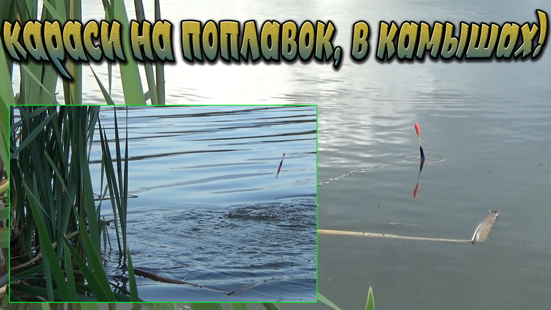 Ловля карасей на поплавочную удочку! Рыбалка в камышах, в июне! Отличный клёв!