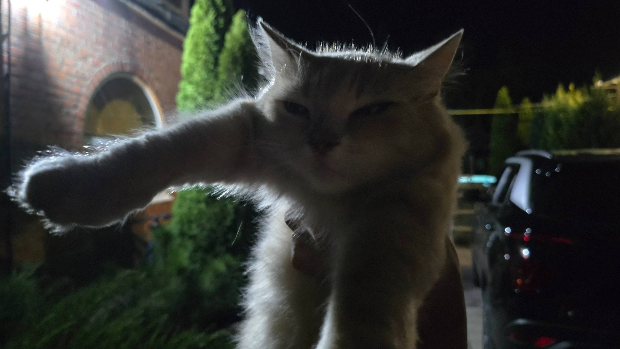 ВЕЧЕРНИЙ МАЙНЕРСКИЙ ОБХОД! | ЧТО МАЙНЮ? | ЖИЗНЕННЫЕ МОМЕНТЫ