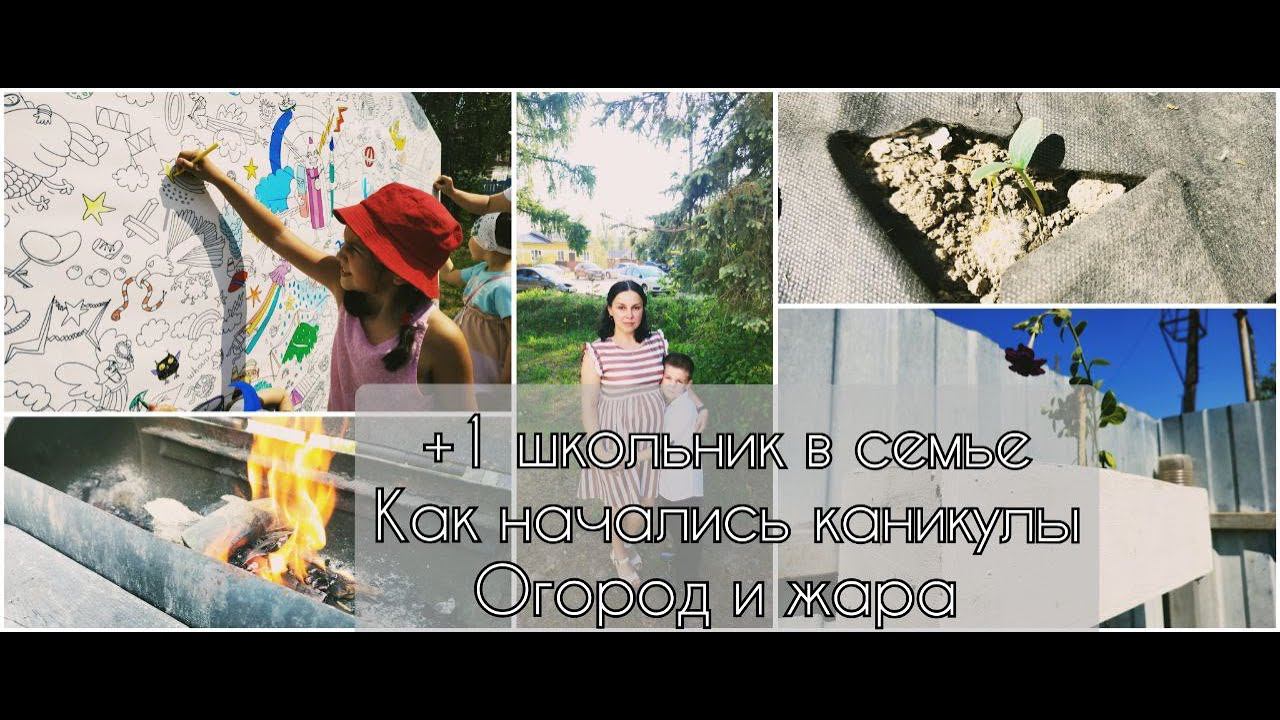 Мои 34 недели беременности/ Каникулы/ Как отдыхаем и проводим время с детьми/ Сажаем петунии