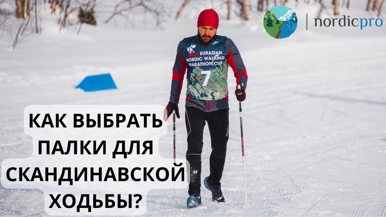 Как выбрать палки для скандинавской ходьбы?
