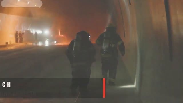 Цифра дня: пожары в 2019 году