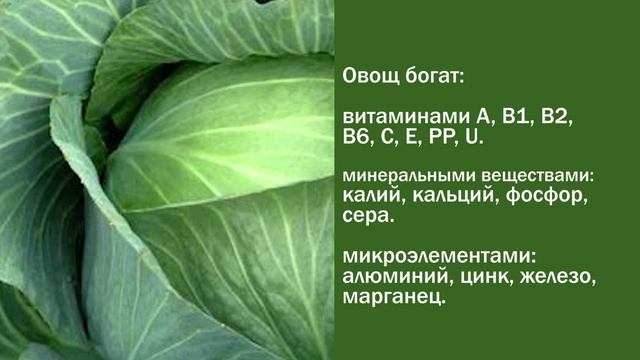 Праздники наши и не наши ... 17 февраля 2022. Часть 1