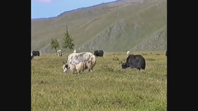 2000 Тува часть 02 - Дусту-хем Правая Маганата.