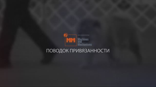 ПОВОДОК ПРИВЯЗАННОСТИ. Часть 1 Когда в Вашей жизни появилась первая собака?