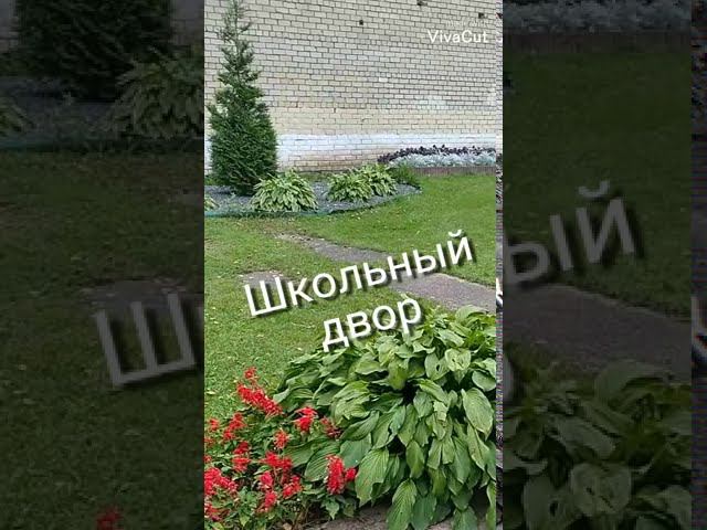 ДЗ_КВ_20.09.09 Монтаж на смартфоне