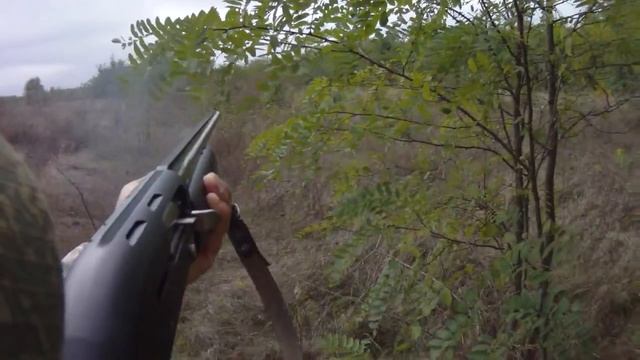 Три дня отличной охоты.Открытие на фазана 2016 и куропатку.Hunting for gam.mp4