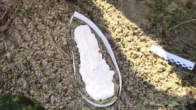 Правоохранительная деятельность. Мастер класс по криминалистике