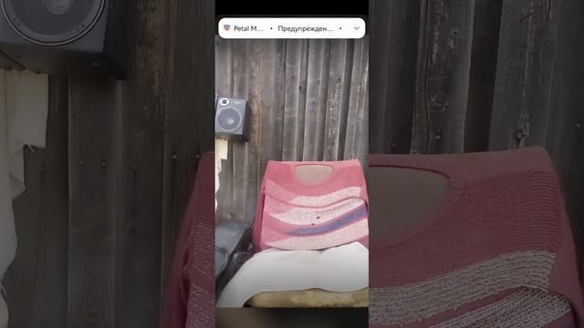 Пьяный Чапа в ок лайве