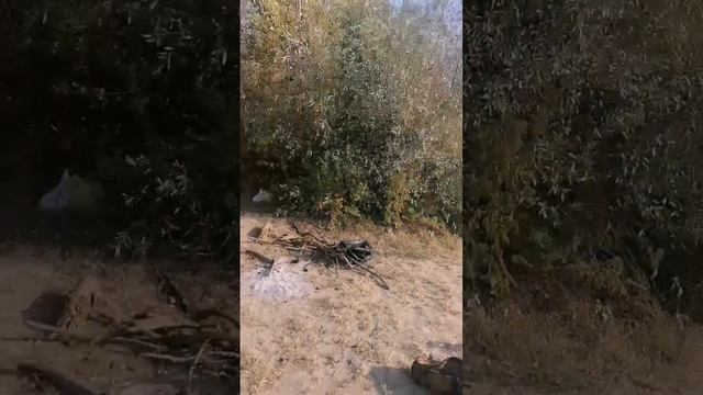 Рыбалка на реке Хопёр.точка Аржановская.