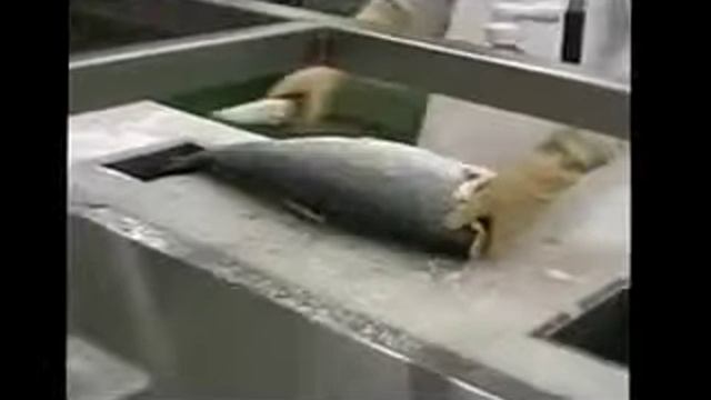 Чешуе съемная машинка ручная