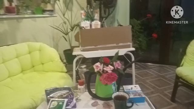 Розы ОКС ?Пришла посылка. ?Что делать и как спасать?