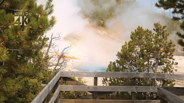 Yellowstone National Park 4K