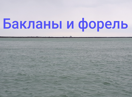 Туапсе 08.02.2022 набережная: бакланы и форель рядом.