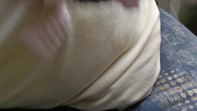 гусь гигусь 1серия гигусь и день рождения