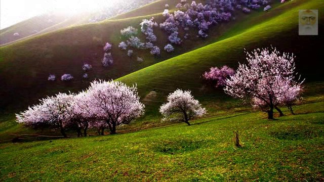 29 Весеннее 2015