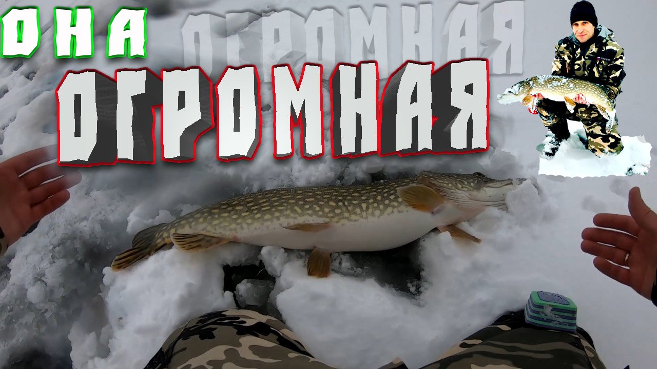 ОГРОМНАЯ ЩУКА в Глухозимее