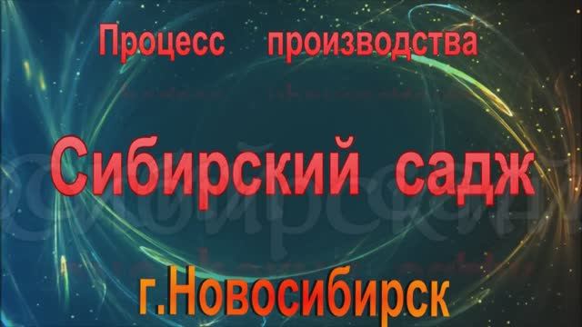Сибирский #садж