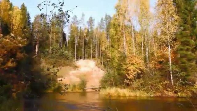 Боли душа! Я эту боль не прогоняю! 2024!