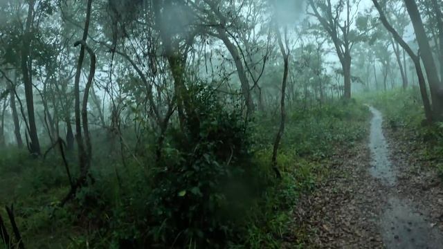 Я должна СПРЯТАТЬСЯ в лесу АНГОЛЫ - [S7-E87]