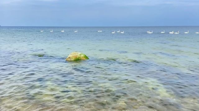 Такое не всегда увидишь