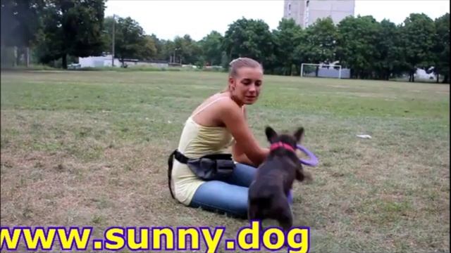 Доминирование, непонимание или это что-то другое