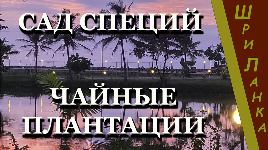 Шри Ланка (Sri-Lanka) - Сад специй. Чайная плантация. Водопад.