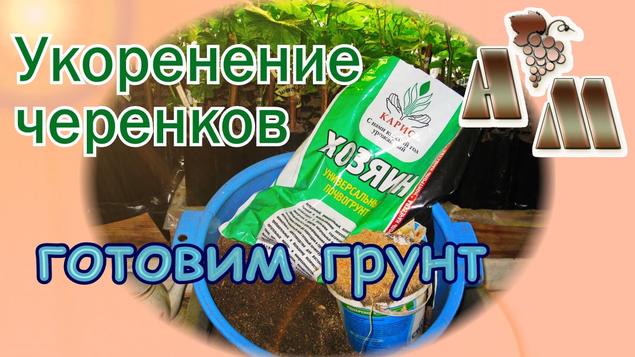 ? Укоренение черенков винограда - 5. Грунт для выращивания саженцев винограда