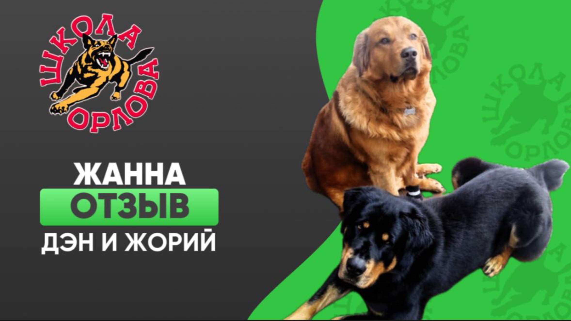 Два бурят-монгольских волкодава охотились на людей. Как остановить?