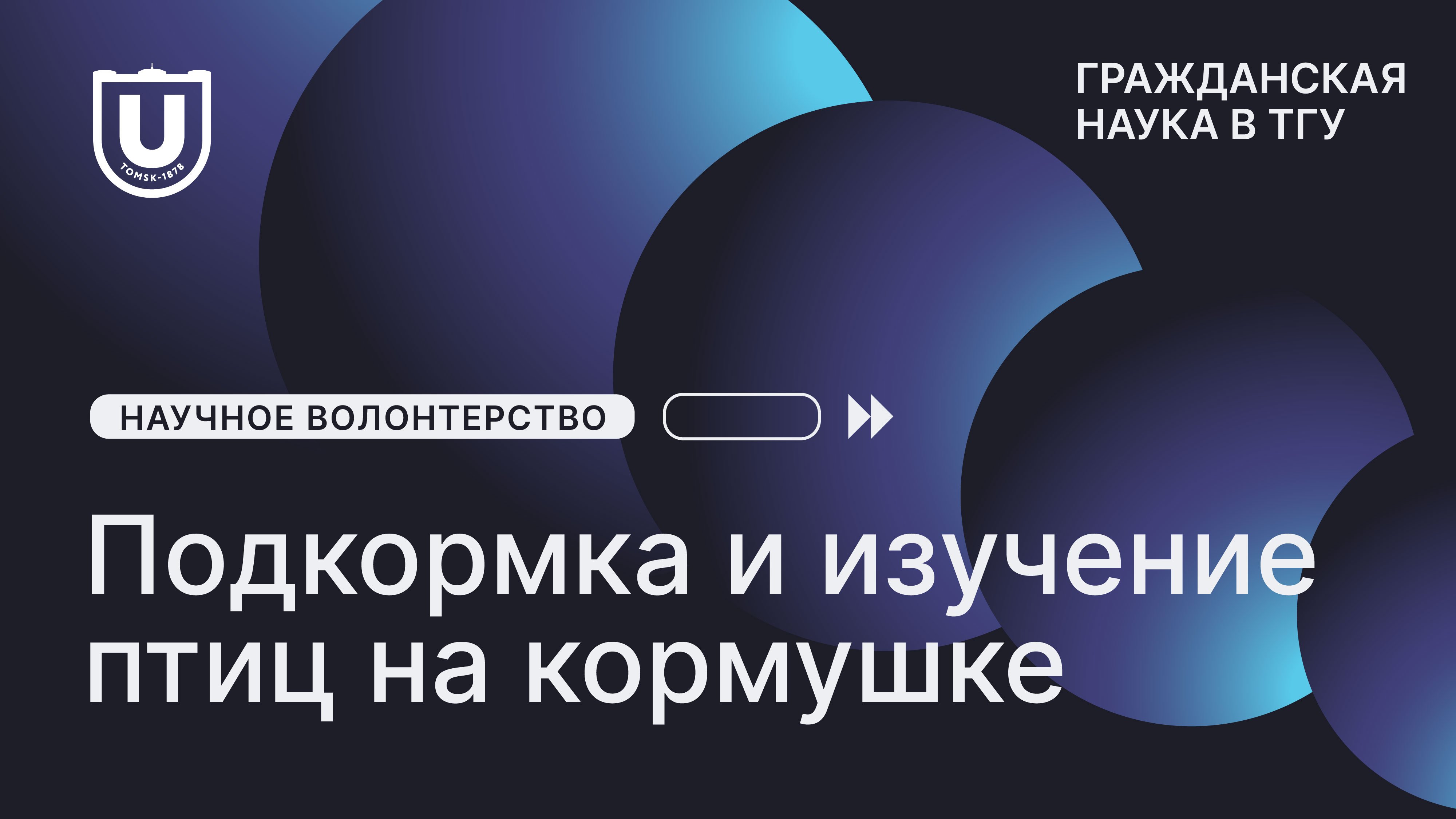 Гражданская наука | Подкормка и изучение птиц на кормушке