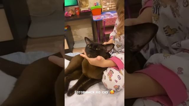 Бурма и дети?