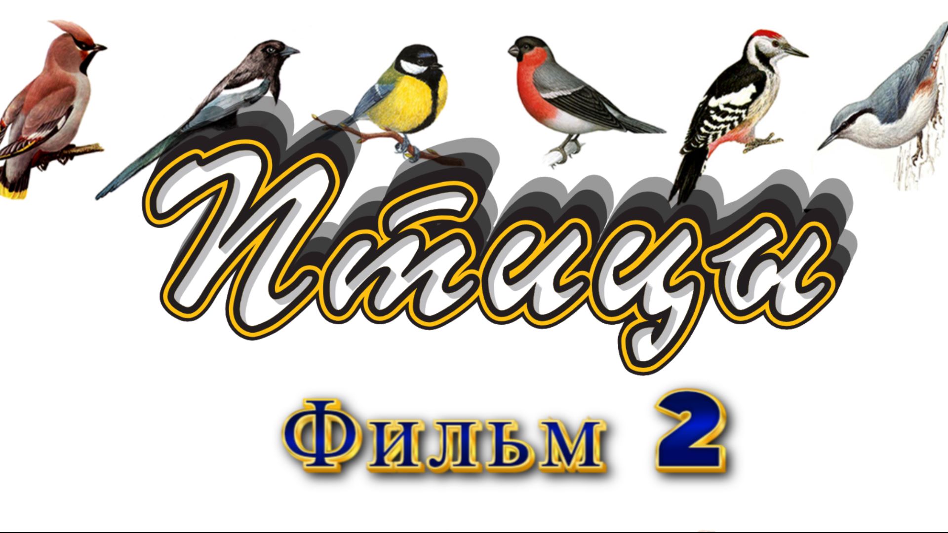 Птицы. Фильм 2  Birds. Movie 2