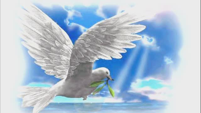 Голубь мира. Библейская история детям. Любовь Чернышова - стихи и монтаж. Читает ЛЮБАВА.