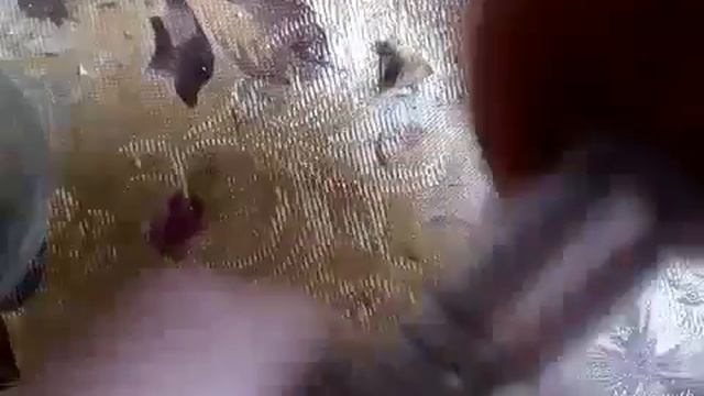 Замена крепления шланга душа