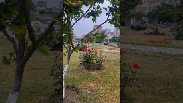 Дождик?️☔️Махачкала?Дагестан?