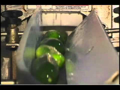 Нарезка огурцов Urschel модель VSC