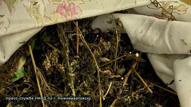 дайджест 25.03.2021