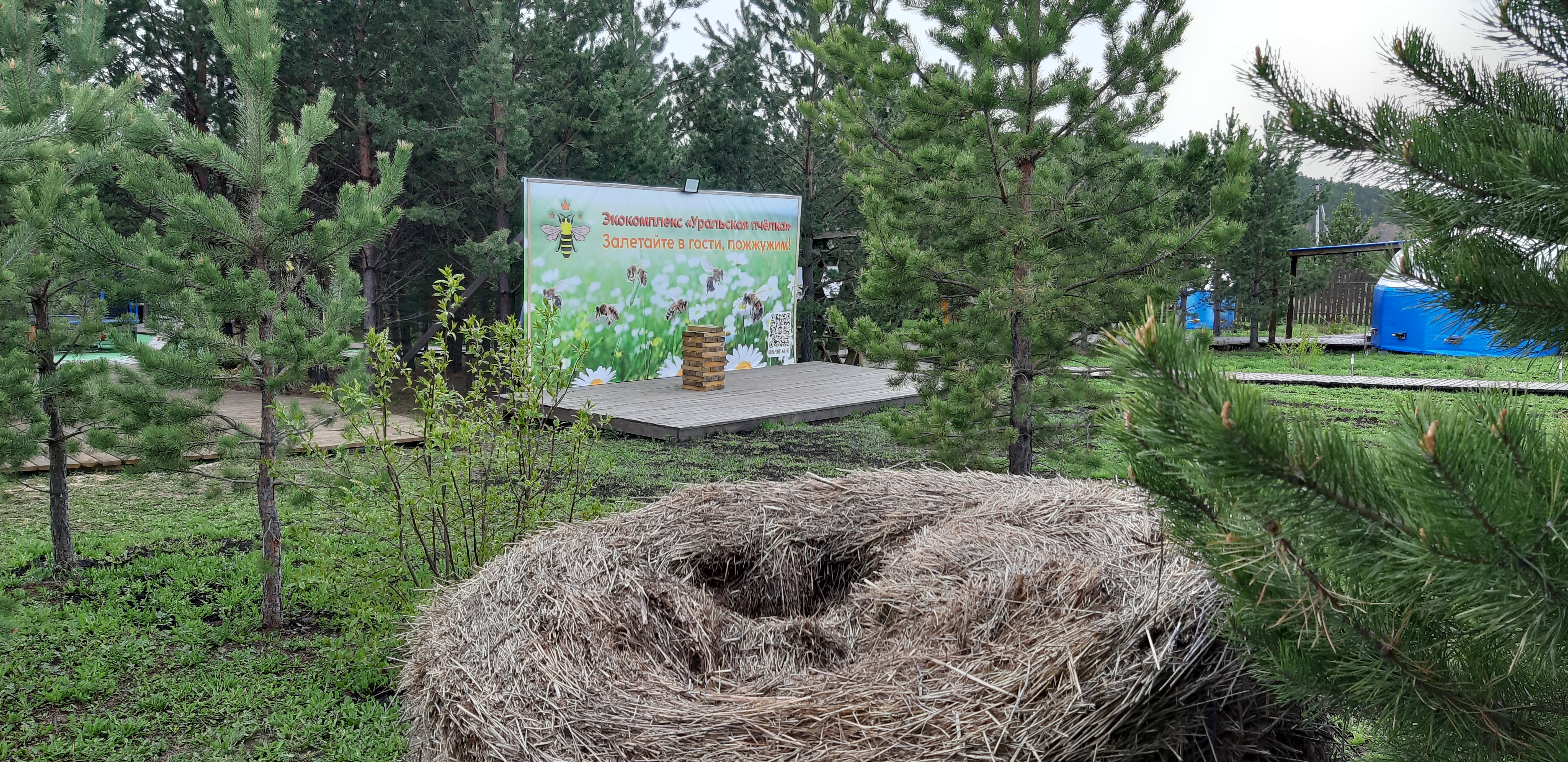 Пасека Уральская пчёлка. Экологическое пространство для игр и общения с природой.