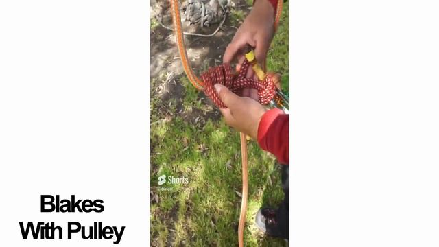 Более 30 узлов для арборисов от Бино