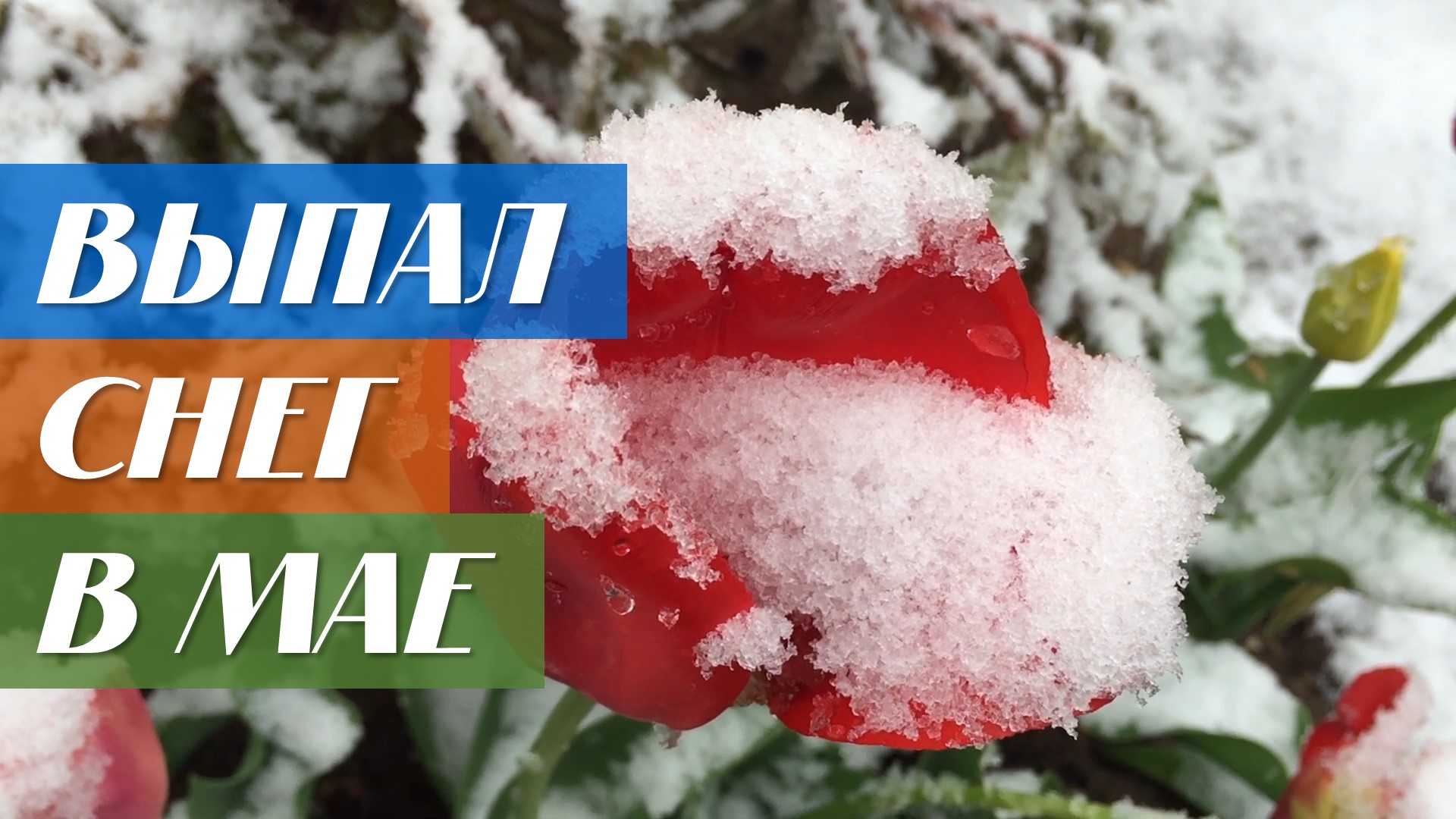 Разное