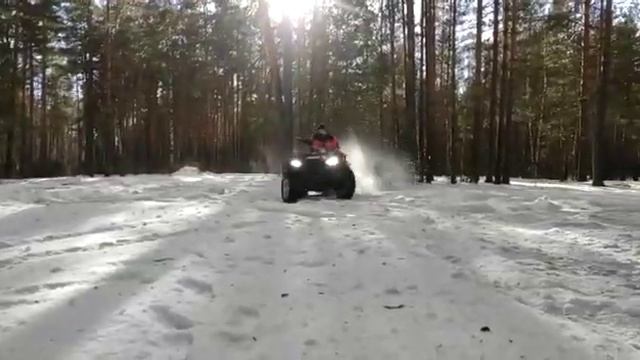 Прокат на квадроцикле с небольшим нюансом. Все живы.