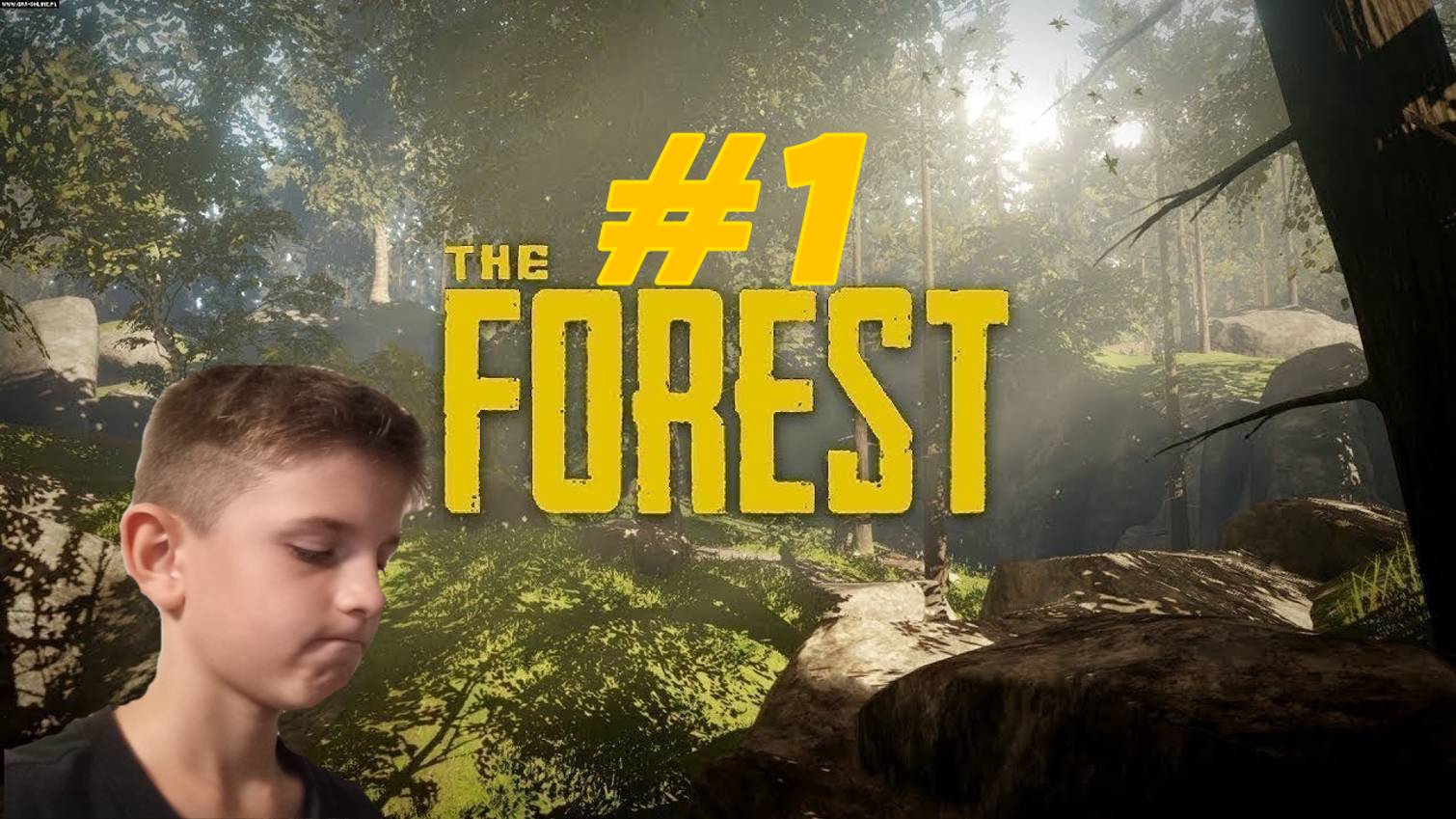 ПОПАЛИ НА ОСТРОВ ДИКИХ АБОРИГЕНОВ ▶ The Forest #1