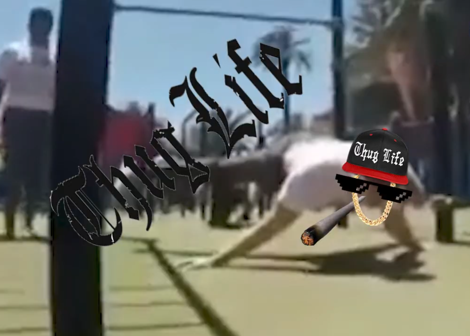 Workout ФЕЙЛЫ #1