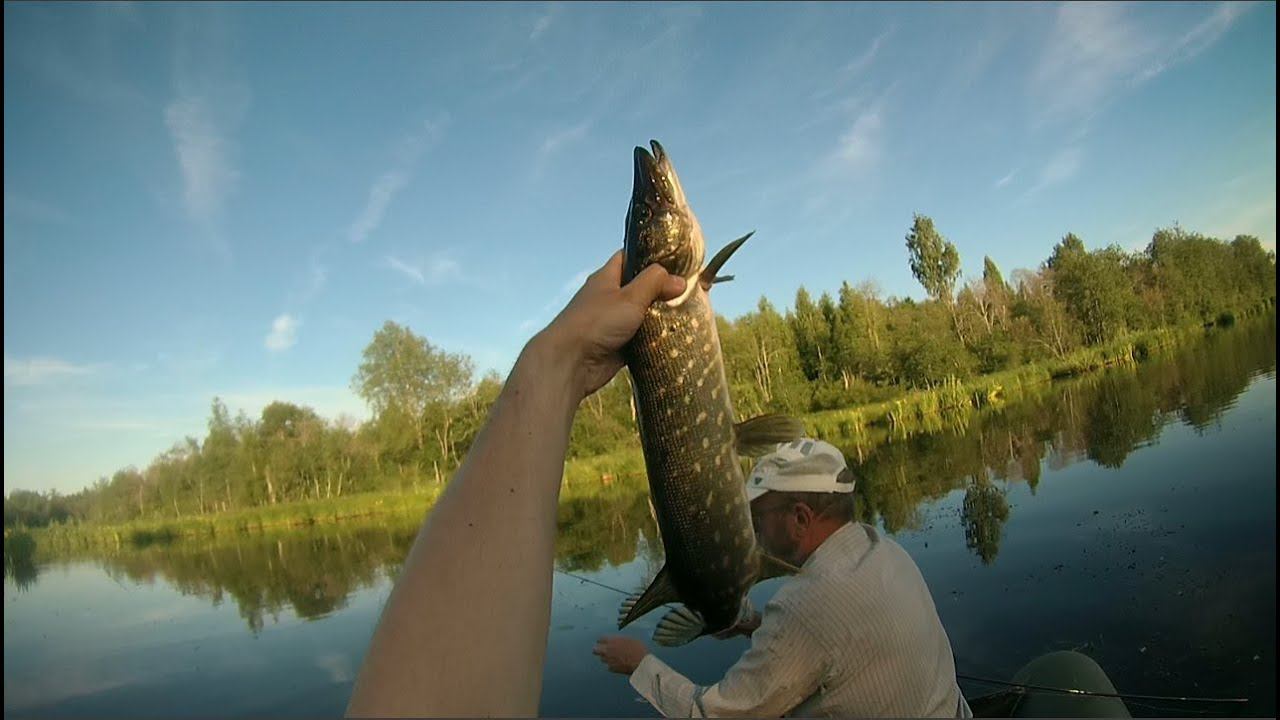 Ловля окуня, щуки на спиннинг (отпуск 2015 - день первый)