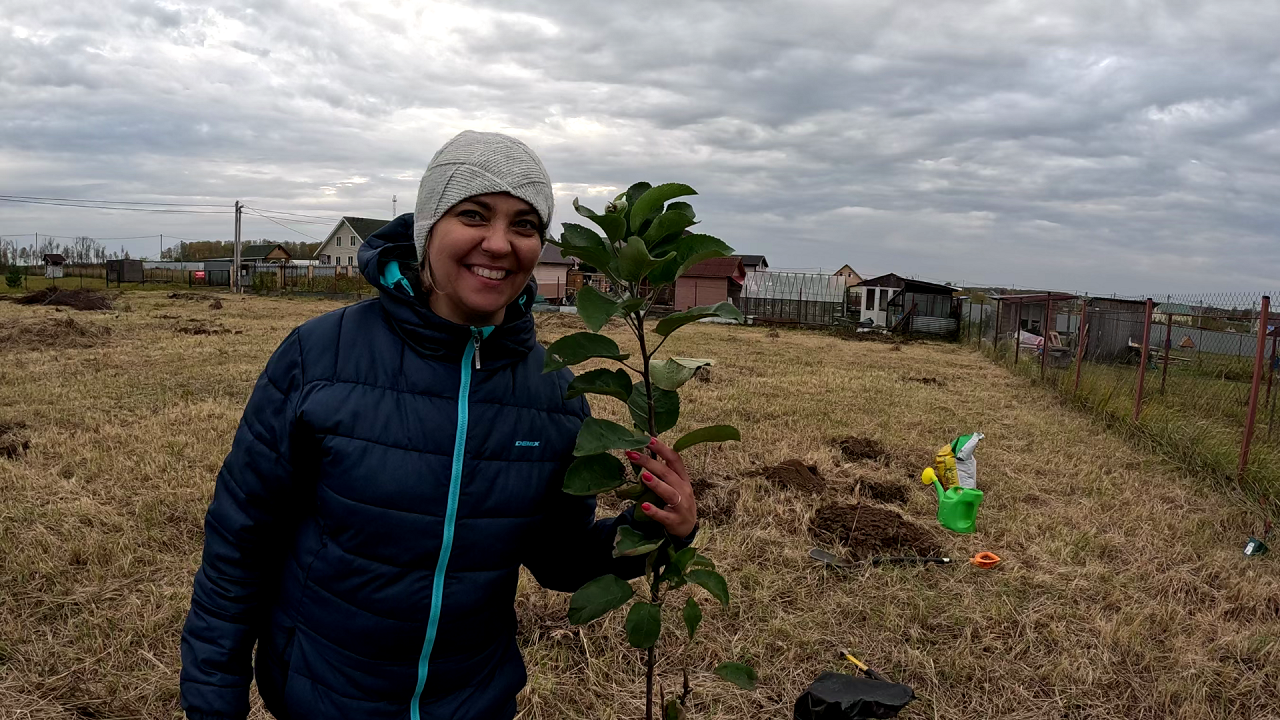 Сад и огород с нуля. Первые саженцы.
