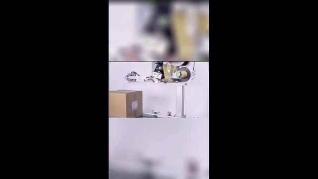 Аппликатор c лапой-(1080p30)