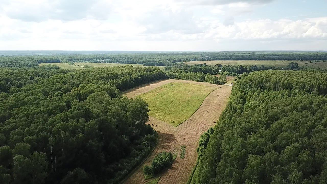 Деревня Песочня. Поле