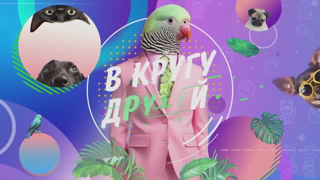 Прайтеры и чихуахуа на спорте. DogsEnergym "В кругу друзей". 06.04.2024